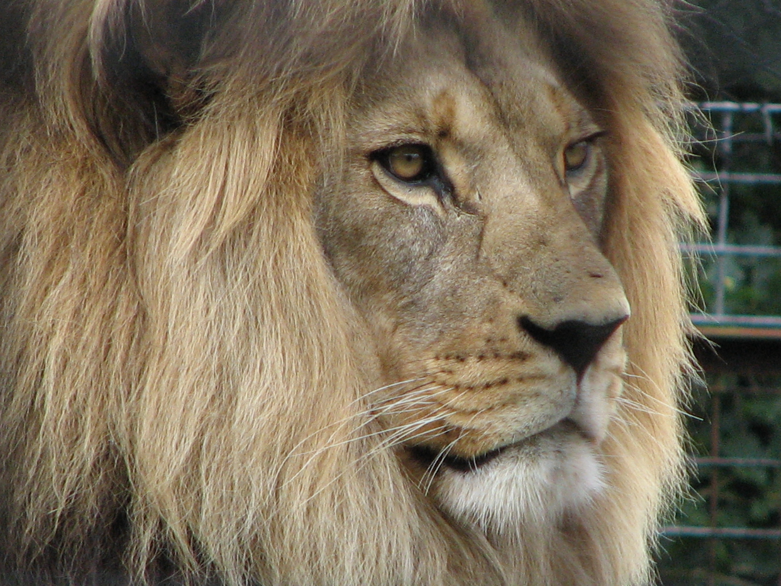 8 Interesting Facts About Morocco | Our Whole Village