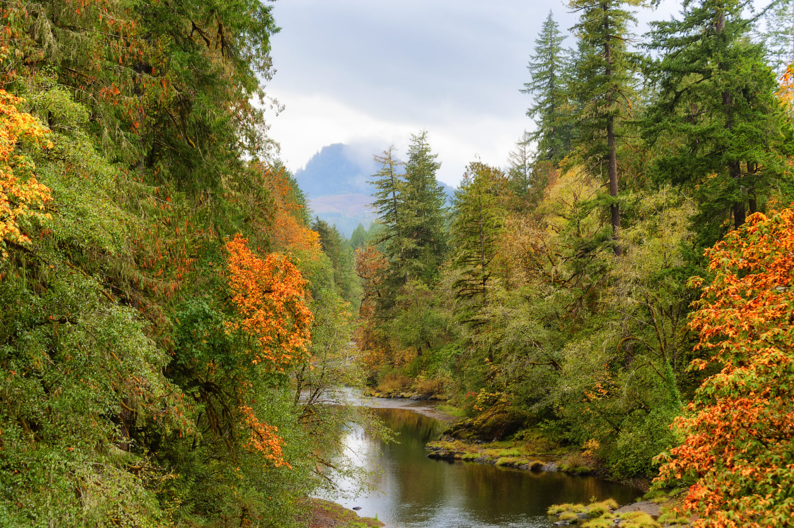7 Best Places to See Fall Foliage in the US | Our Whole Village
