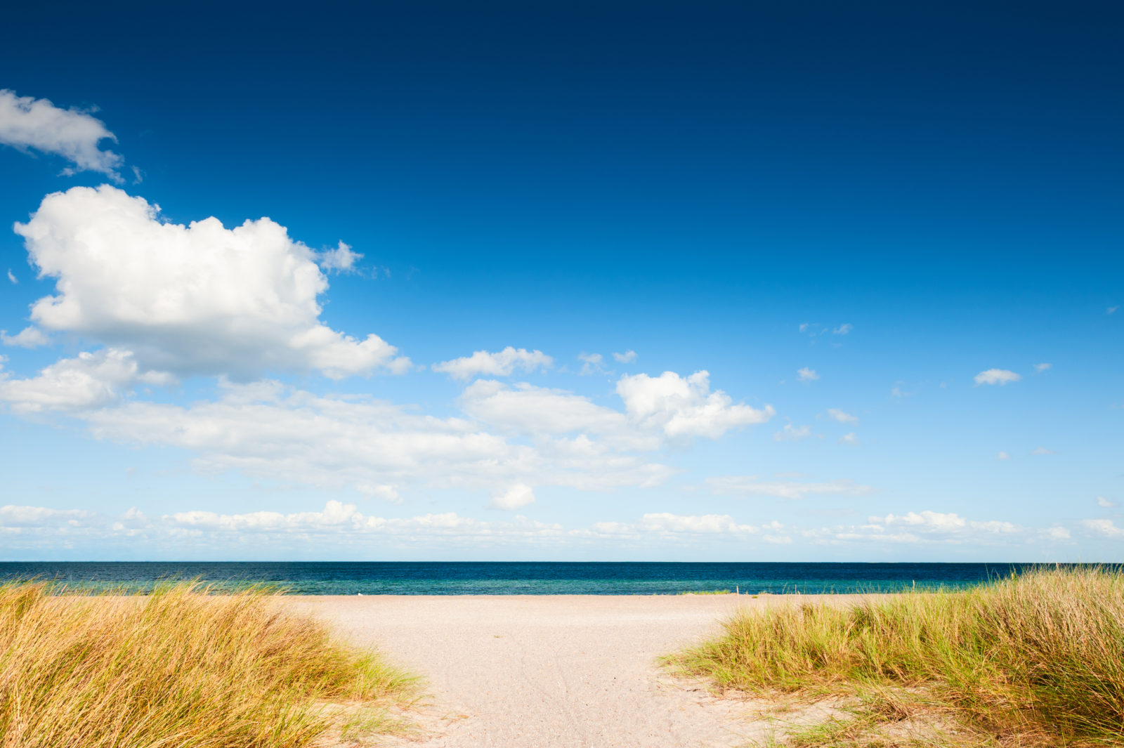 Copenhagen Family Vacation: What to See and Do With Kids | Our Whole ...