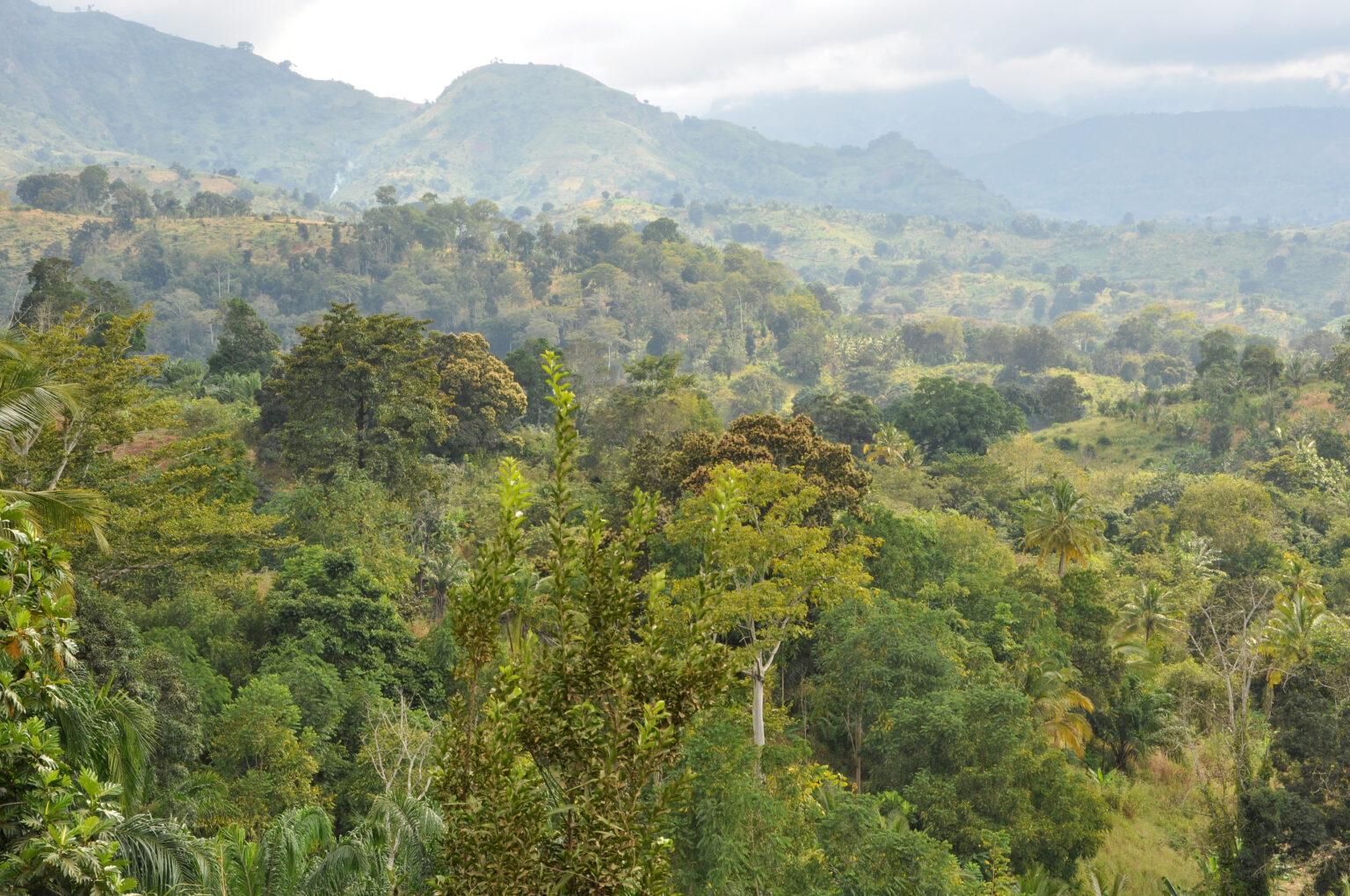 10 of the Most Biodiverse Places on Earth | Our Whole Village