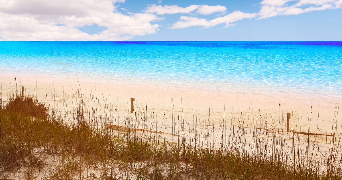 The Perfect Family Vacation to Florida’s Emerald Coast | Our Whole Village