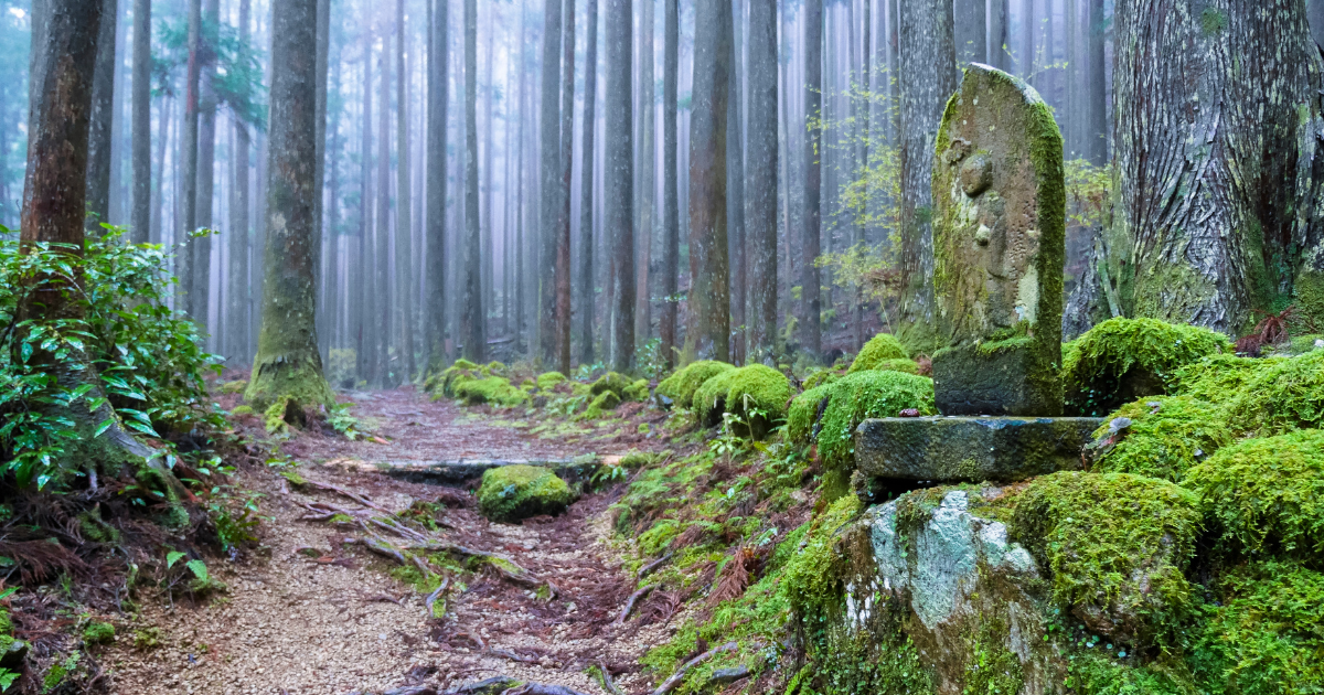 Myths and Facts About the Amazon Rainforest | Our Whole Village